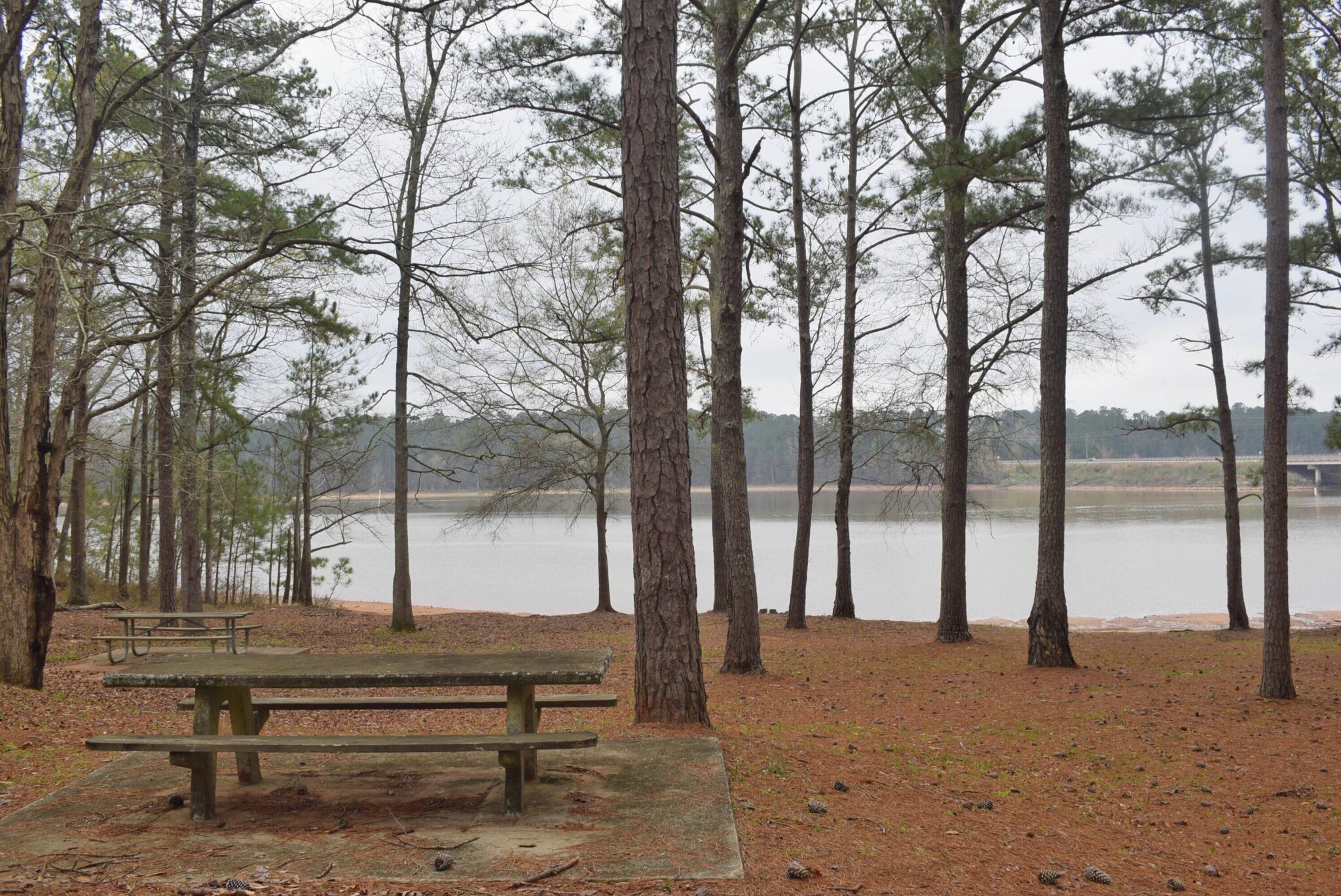 Your Guide to West Point Lake Parks - Visit LaGrange Georgia